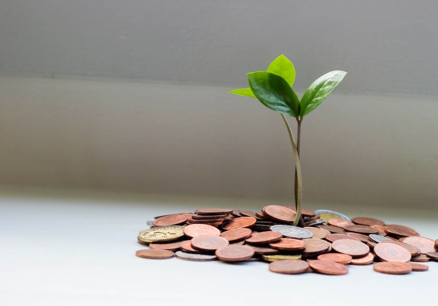 7 Formas de Invertir con POCO dinero en 2025 (sin trucos)